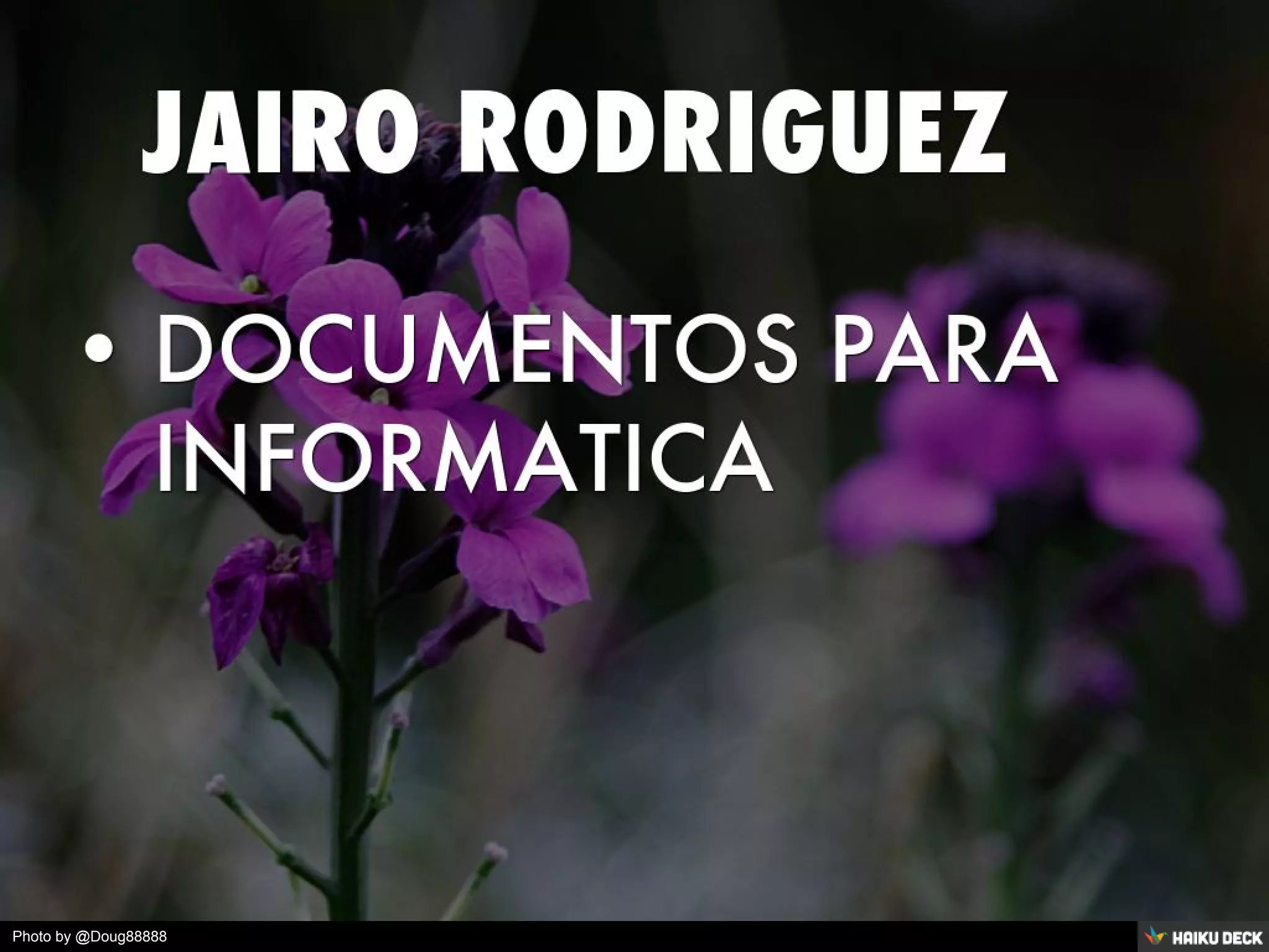 JAIRO RODRIGUEZ | PDF