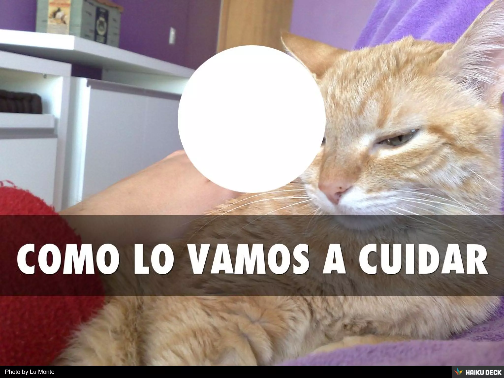 JAIRO RODRIGUEZ | PDF