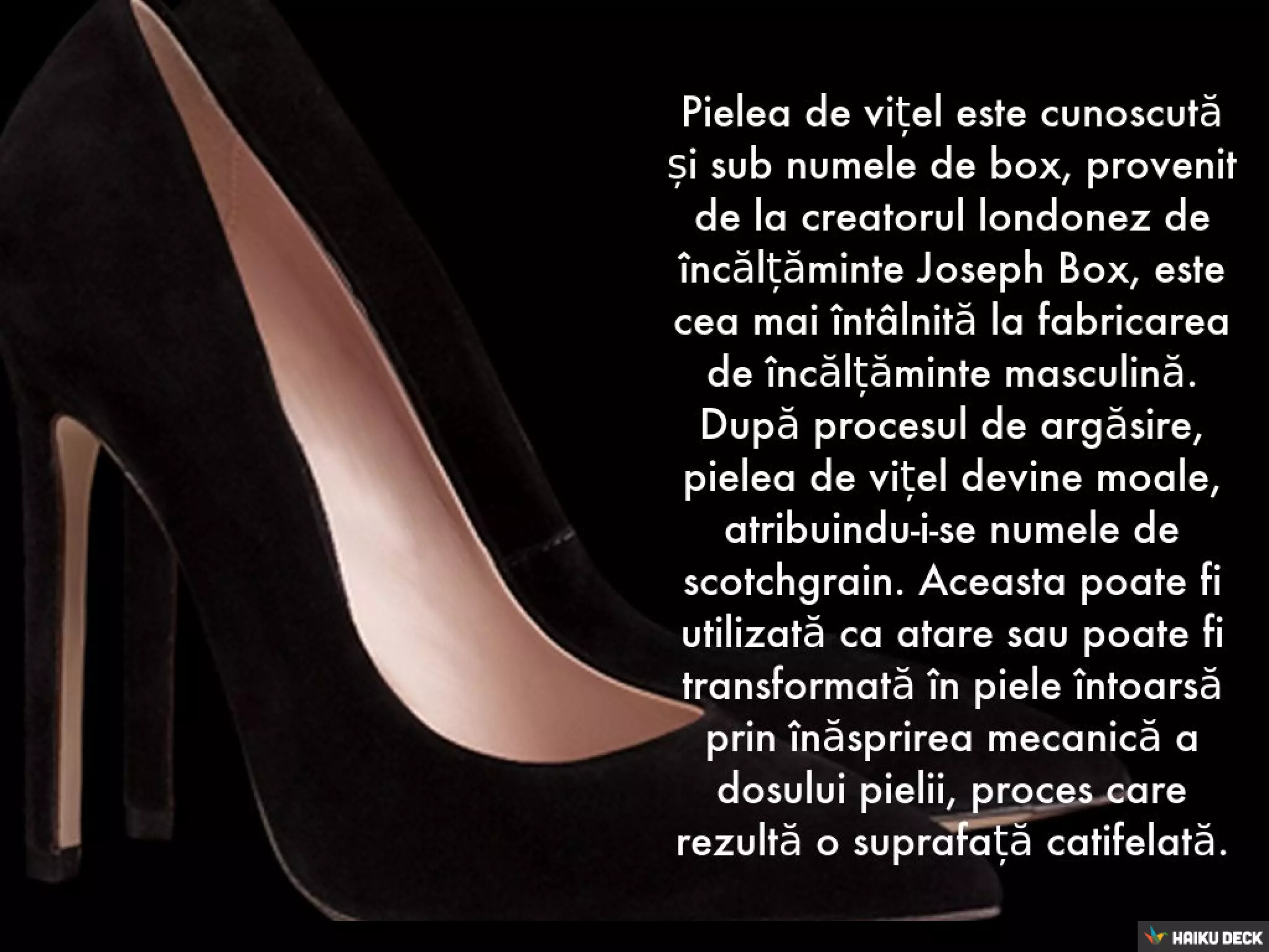 Tot ce nu știai despre pantofii din piele | PPT