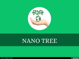 NANO TREE | PDF