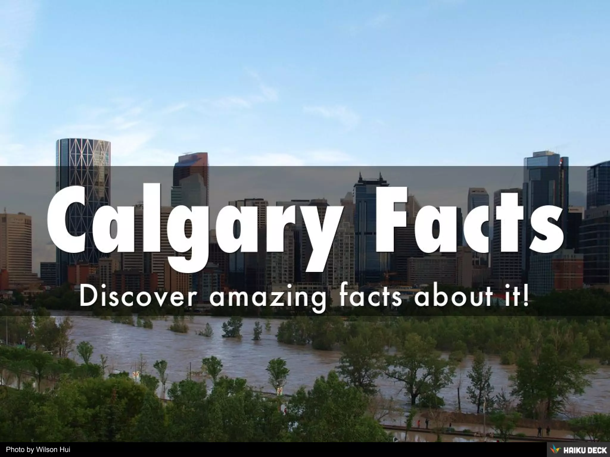 Calgary Facts | PPT