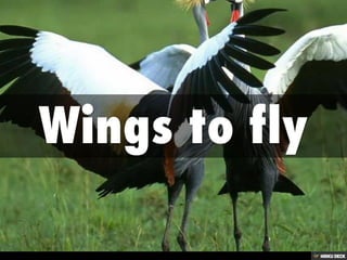 Wings to fly | PDF | Photography | Arts and Crafts