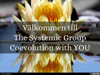 En systemisk värld | PDF