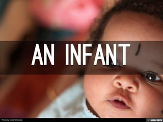 Geriatric Counseling Or Gerontological Counselling | PDF