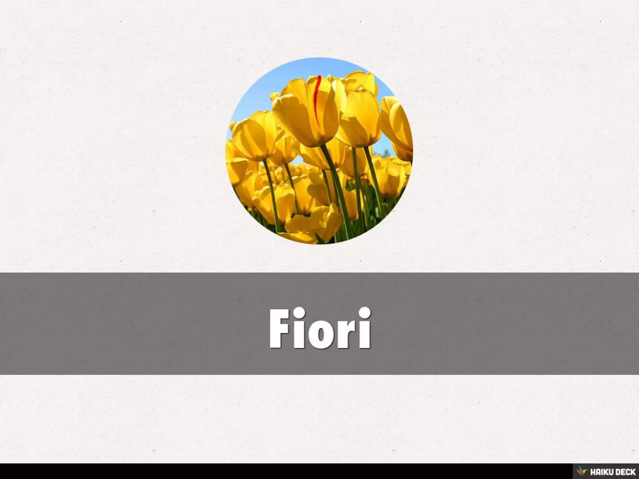 Fiori | PDF