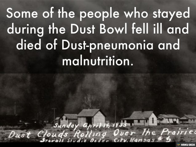 The Dust Bowl | PDF
