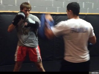 Chad Ambrose, MMA trainer | PDF