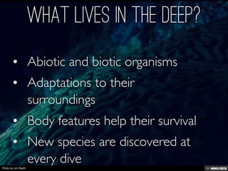 Deep sea creatures | PPT