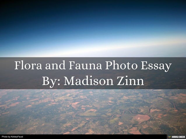 Flora and Fauna Photo Essay | PDF