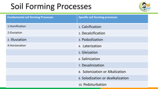 A-78-Processes-and-factors-of-soils-formation.ppt