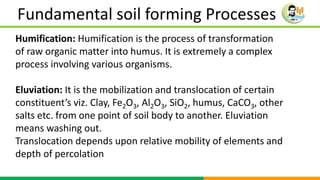 A-78-Processes-and-factors-of-soils-formation.ppt