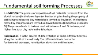 A-78-Processes-and-factors-of-soils-formation.ppt