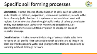 A-78-Processes-and-factors-of-soils-formation.ppt