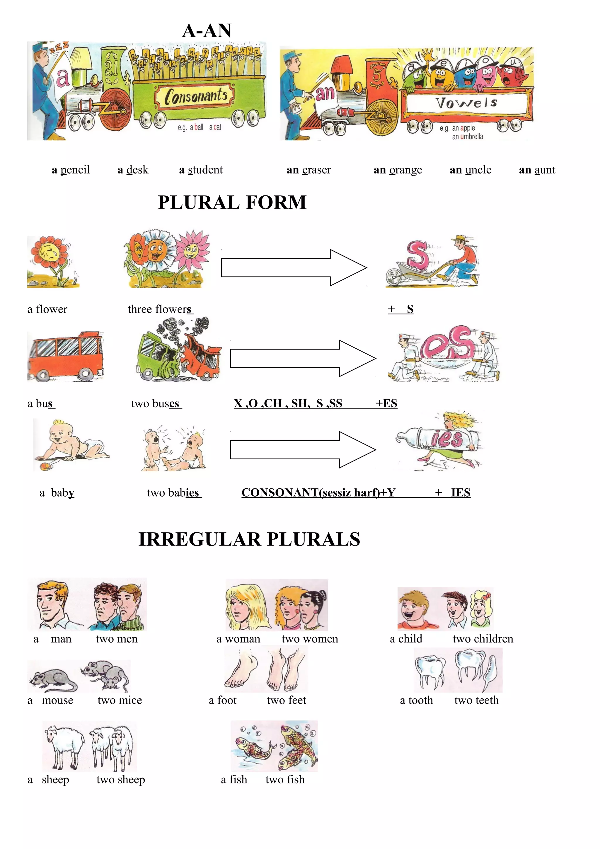 A an plural form | DOC
