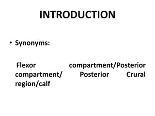 A-BACKOF_LEG-16-12-14 ppt.ppt