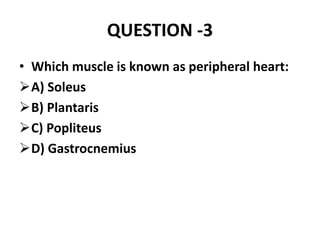 A-BACKOF_LEG-16-12-14 ppt.ppt