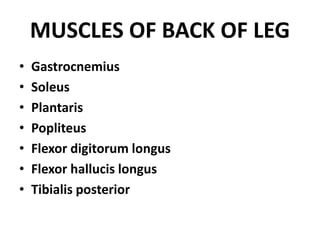 A-BACKOF_LEG-16-12-14 ppt.ppt