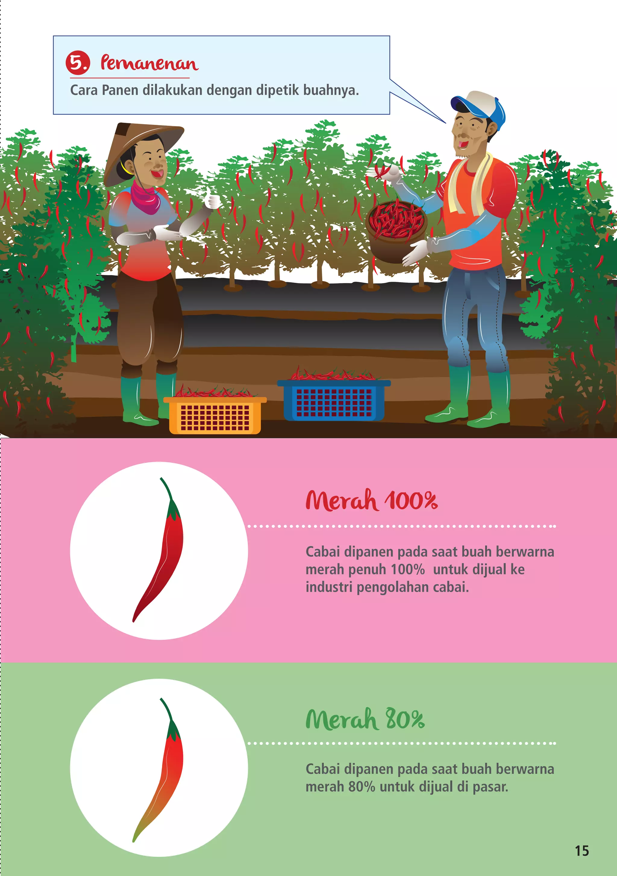 budidaya cabai | PDF