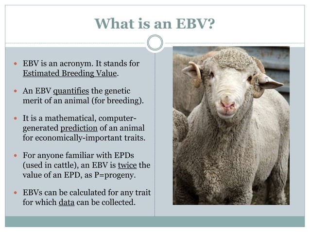 A beginner’s guide to EBVs | PPTX
