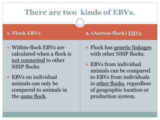 A beginner’s guide to EBVs | PPTX