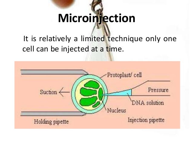 A biotic stresses & role of tissue culture