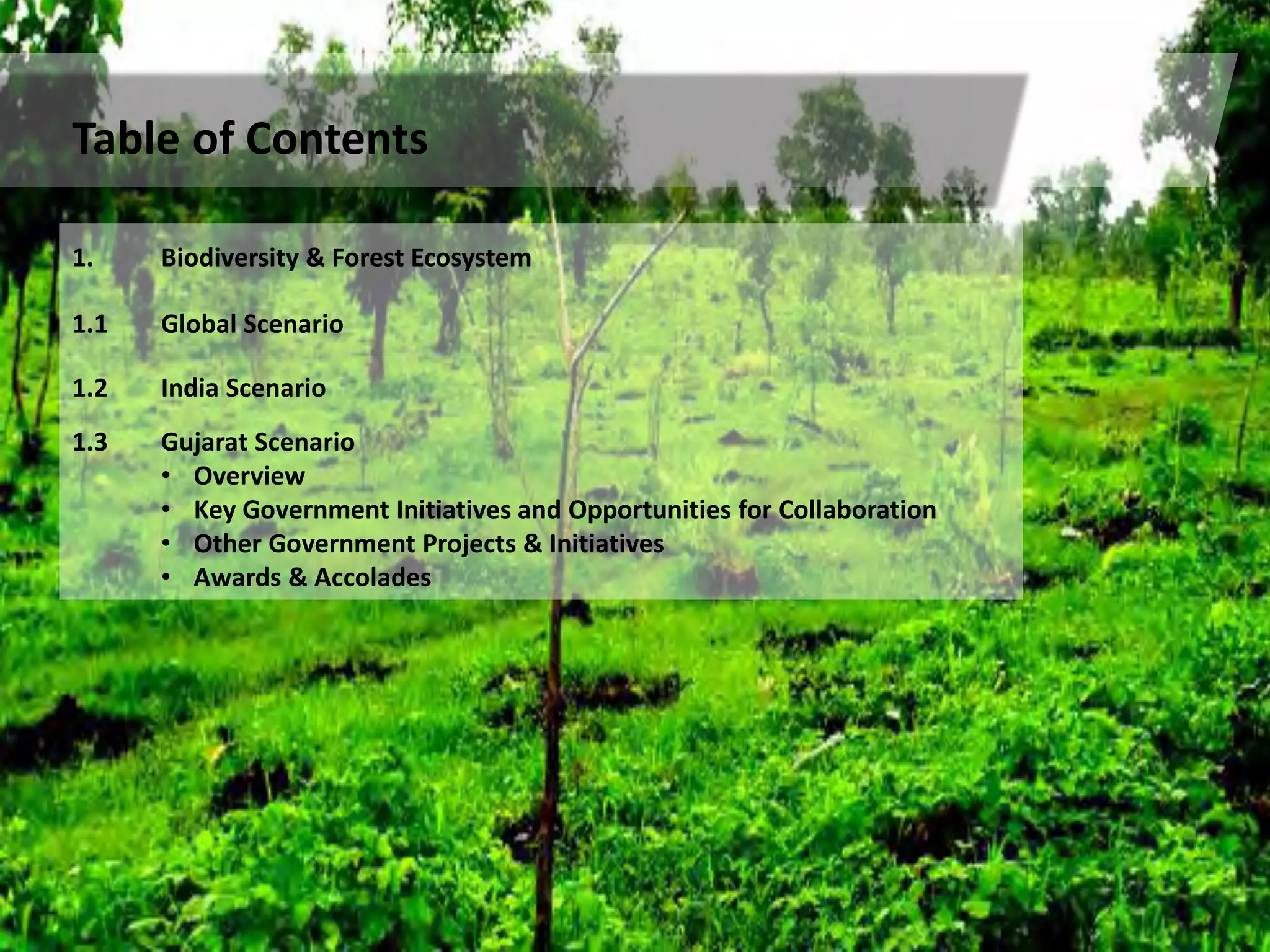 A Bird Eye View of Gujarat Forest Sector | PPT