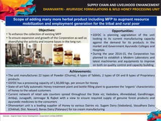 A Bird Eye View of Gujarat Forest Sector | PDF