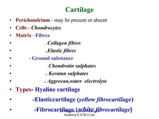 A-Bone_cartilage-16-12-14.pdf