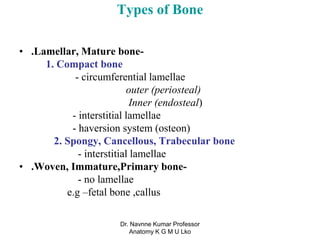 A-Bone_cartilage-16-12-14.pdf