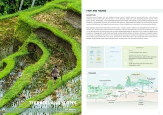 A-Catalogue-of-Nature-based-Solutions-for-Urban-Resilience.pdf