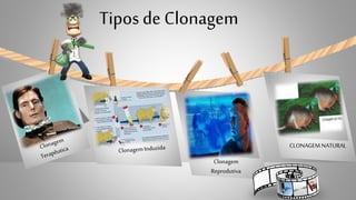 Clonagem_humana | PPTX