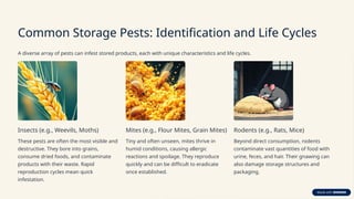 A-Critical-Overview of Storage Pests and Diseases.pptx