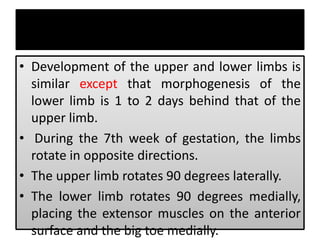 A-Development_of_Upper_Limb-16-12-14.ppt