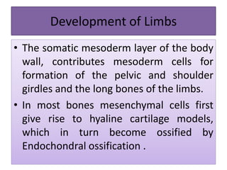 A-Development_of_Upper_Limb-16-12-14.ppt