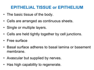 A-Epithelial_tissue1-16-12-14.pdf