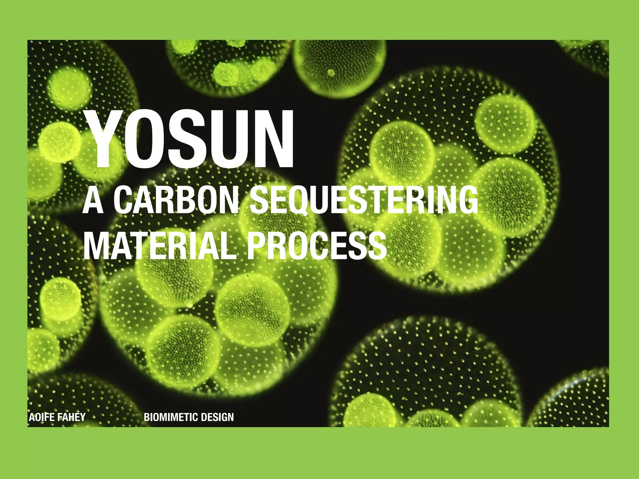 YOSUN - A CARBON SEQUESTERING MATERIAL PROCESS | PPT