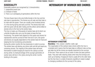 Systems Thinking - Honeybee | PDF
