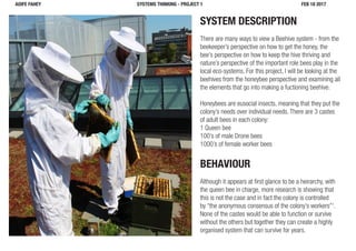Systems Thinking - Honeybee | PDF