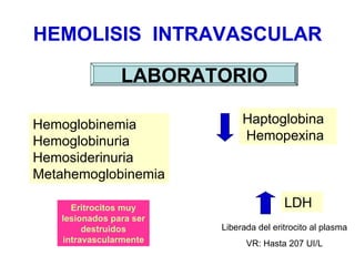 A. hemoliticas | PPT