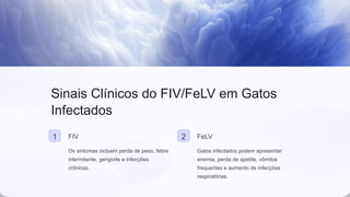 A-Importancia-do-Diagnostico-da-FIVFeLV-na-Medicina-Felina.pptx
