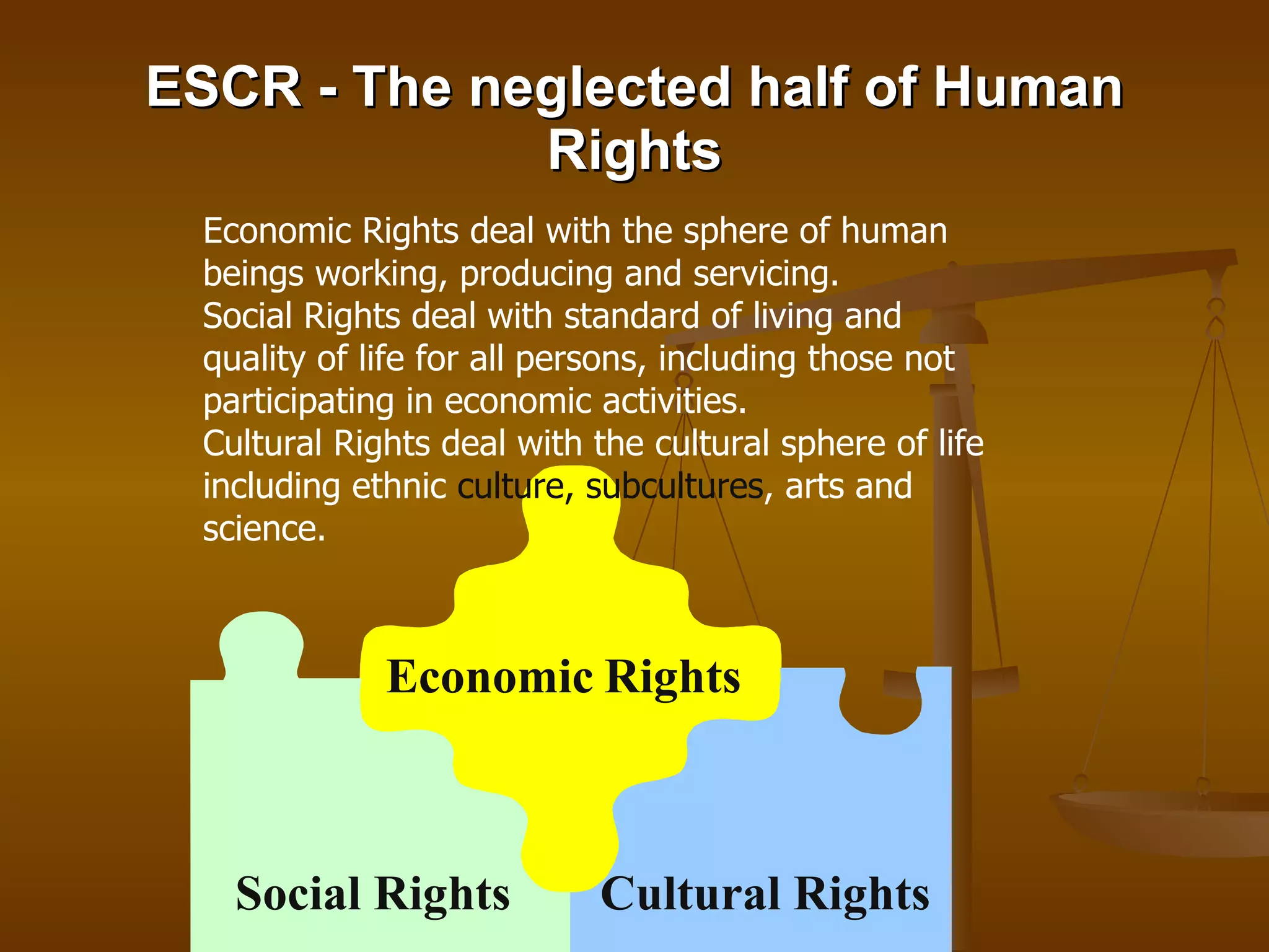 An Introduction To Human Rights | PPT