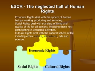 An Introduction To Human Rights | PPT