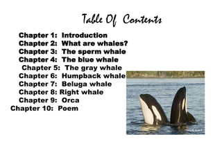 Whales | PPTX | Zoos & Aquariums | Attractions