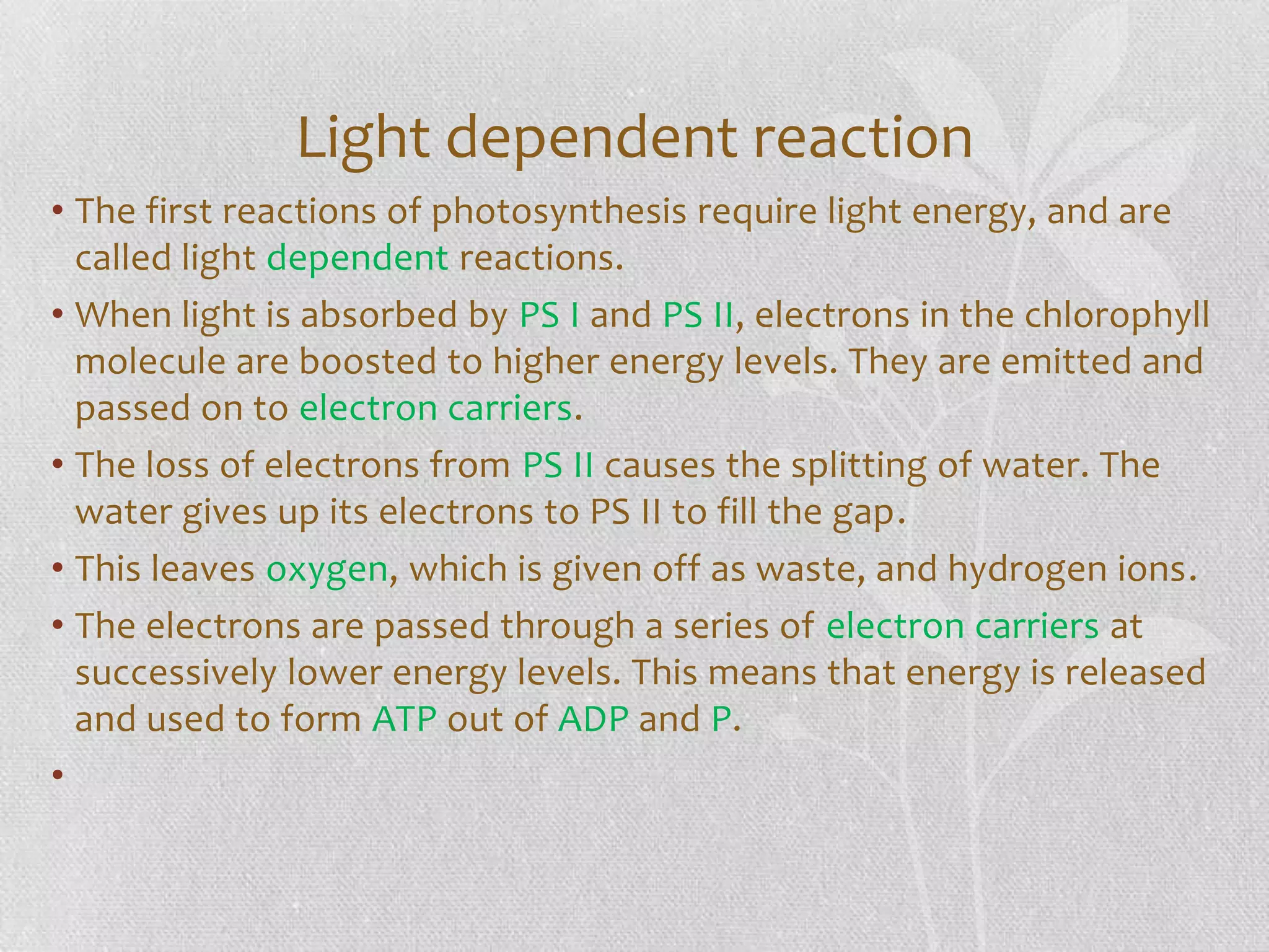 A level biology photosynthesis | PPTX