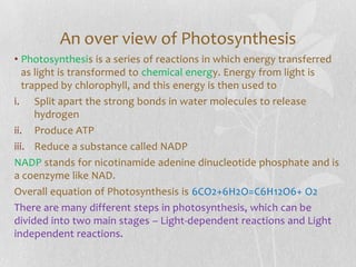 A level biology photosynthesis | PPTX