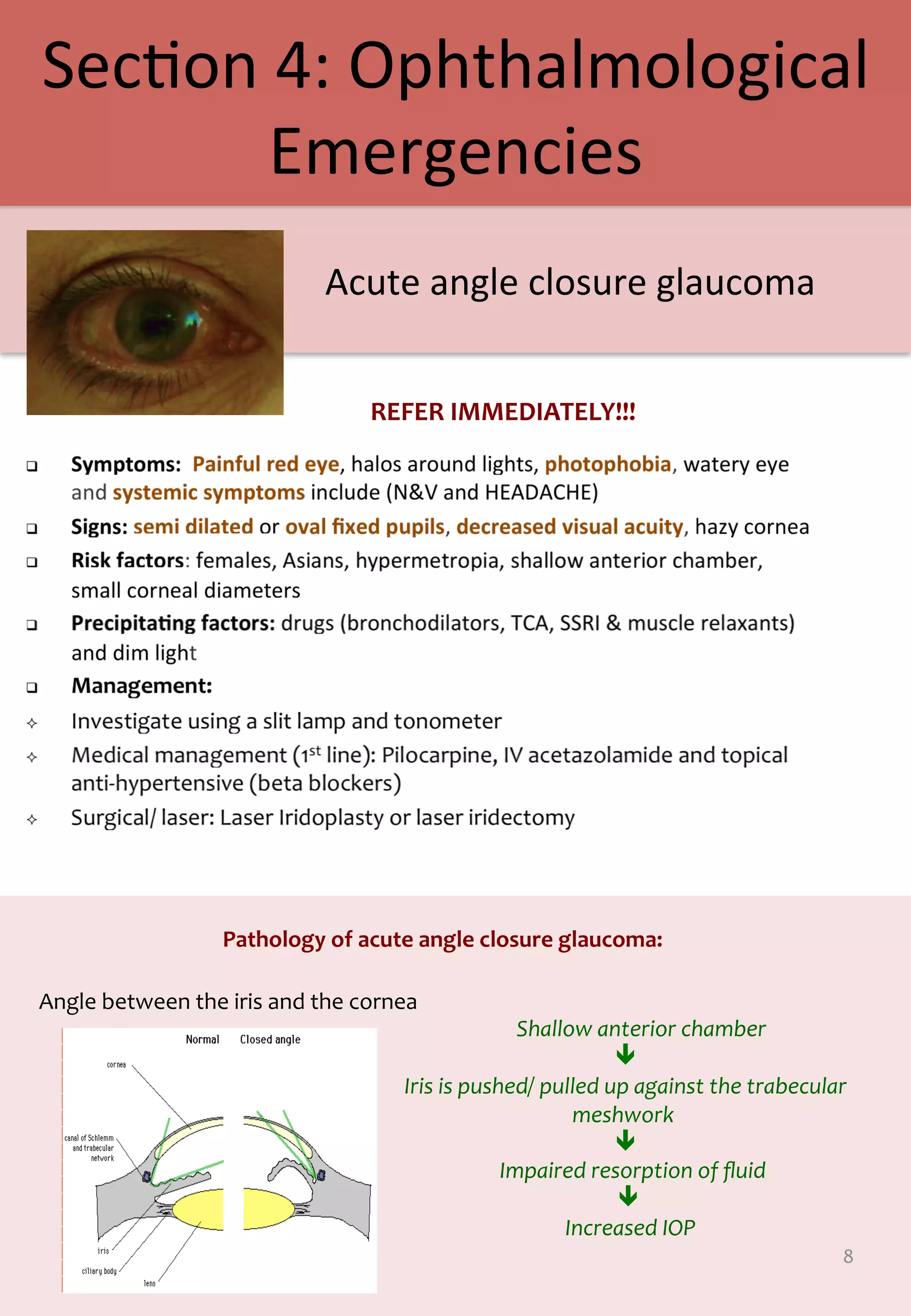 A medical student guide to Red Eye | PDF