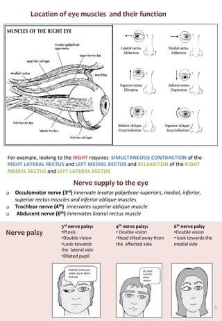 A medical student guide to Red Eye | PDF
