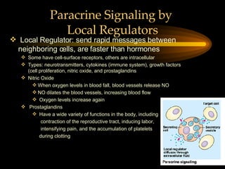 A P+ Bio+ Hormones!! | PPT
