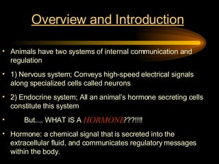 A P+ Bio+ Hormones!! | PPT