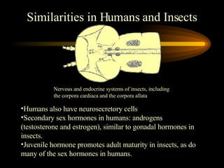 A P+ Bio+ Hormones!! | PPT